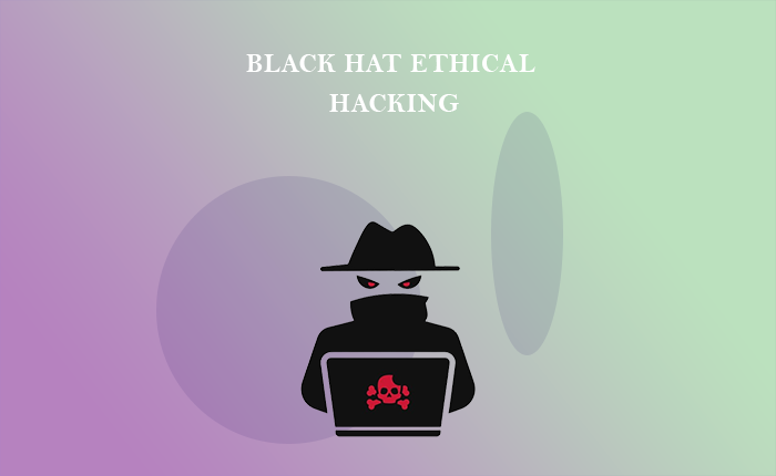 Blackhat Hacking Training(Perminderjit Singh) (Copy 1)